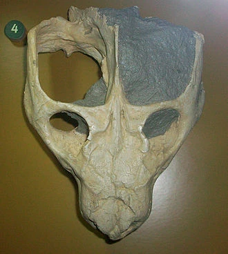 Category:Cynodonts | Zoo evolution in Anthöny Pain video Wiki | Fandom