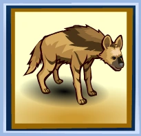 Aardwolf | Zoo Kingdom Wiki | Fandom