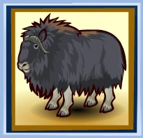 Musk Ox | Zoo Kingdom Wiki | Fandom