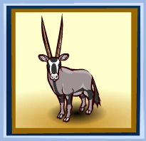 Gemsbok | Zoo Kingdom Wiki | Fandom