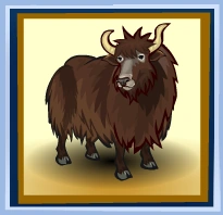 Himalayan Yak | Zoo Kingdom Wiki | Fandom