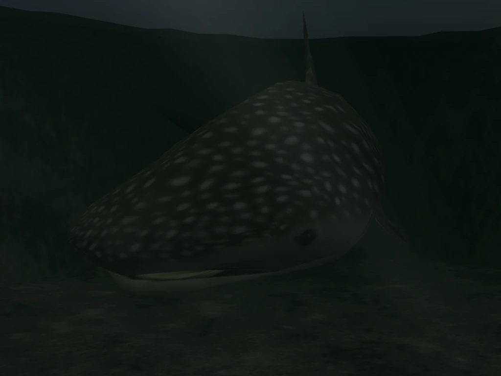 Whale Shark | Zoo Pedia Wikia | Fandom
