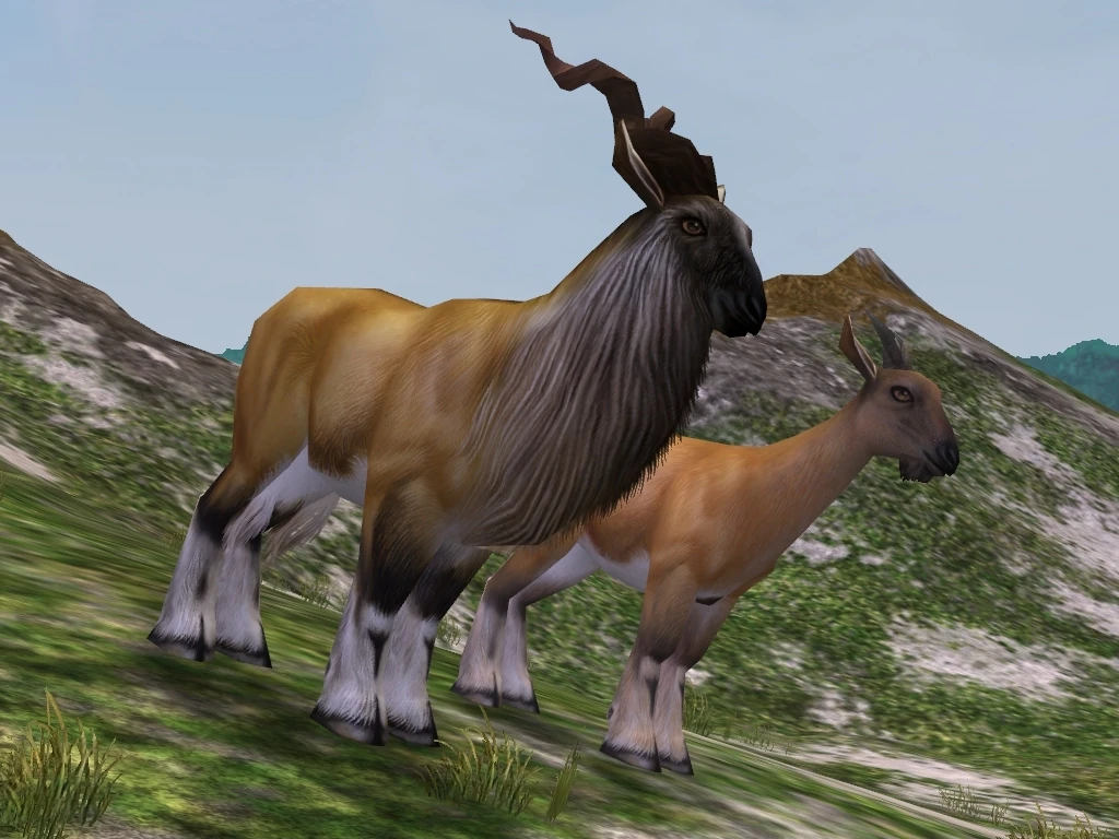 Markhor | Zoo Pedia Wikia | Fandom