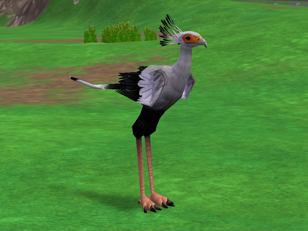 Secretary Bird | Zoo Tycoon 2 Wikia | Fandom