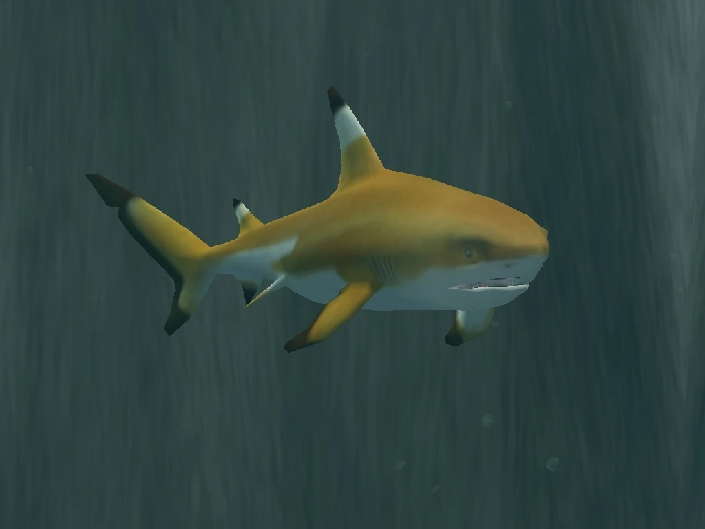 Blacktip Reef Shark | Zoo Tycoon 2 Wikia | Fandom