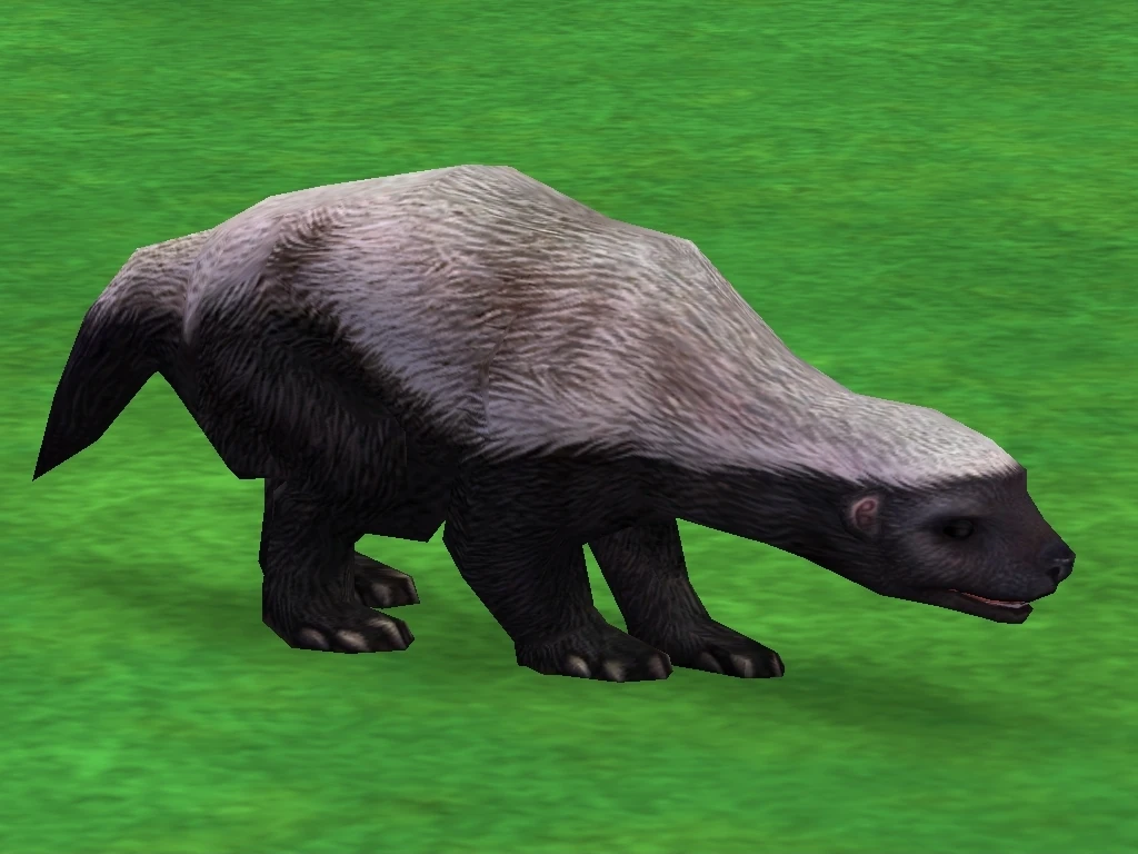 Ratel | Zoo Tycoon 2 Wikia | Fandom