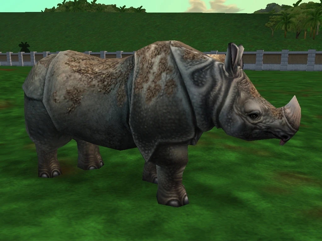 Javan Rhinoceros | Zoo Tycoon 2 Wikia | Fandom