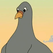 Domestic Pigeon | Zoo tycoon movie Wikia | Fandom