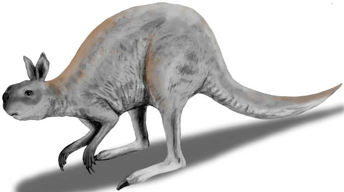 Procoptodon | Zoo tycoon movie Wikia | Fandom