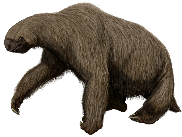 Megalonyx | Zoo tycoon movie Wikia | Fandom