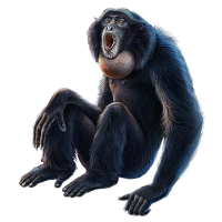 Siamang | Zoo tycoon movie Wikia | Fandom