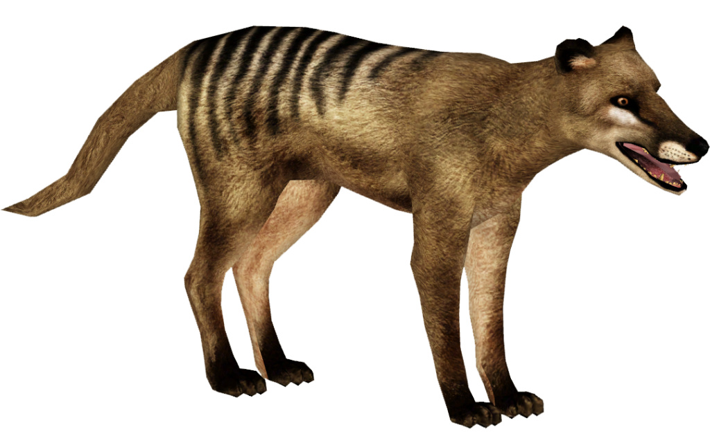 Extinct Dog With Zebra Stripes