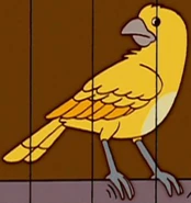 Atlantic Canary | Zoo tycoon movie Wikia | Fandom