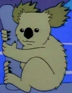 Koala | Zoo tycoon movie Wikia | Fandom