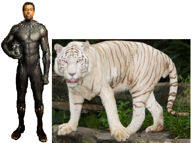Tiger | Zoo tycoon movie Wikia | Fandom