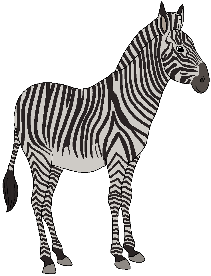 Grévy's Zebra | Zoo Venture Wiki | Fandom