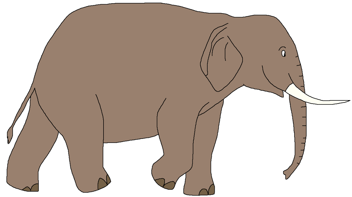 Indian Elephant | Zoo Venture Wiki | Fandom