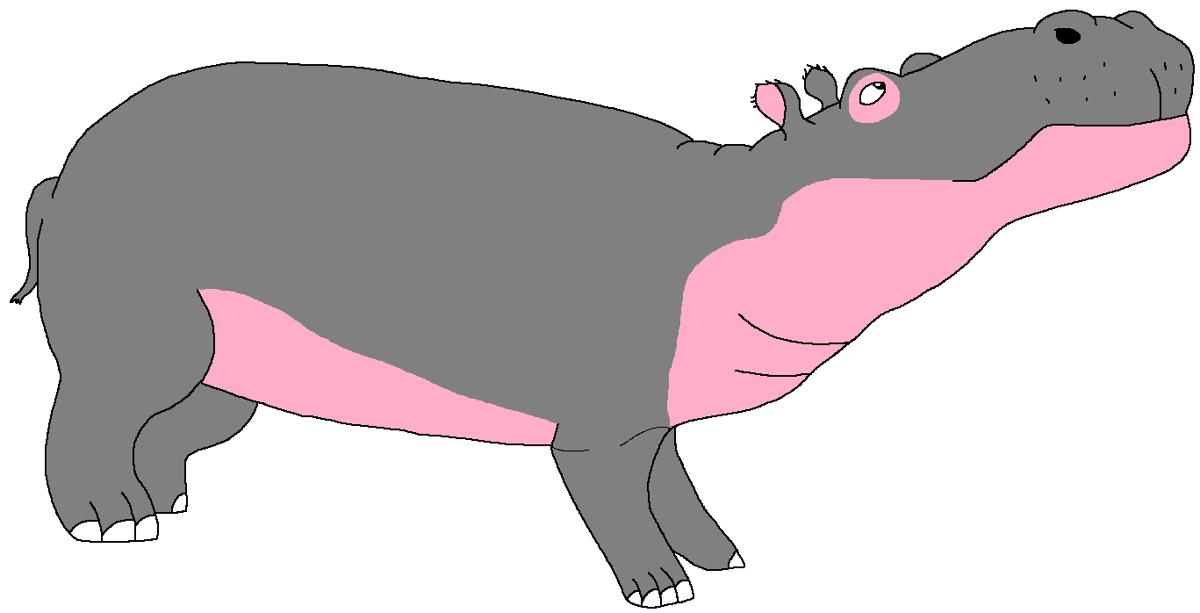 West African Hippopotamus | Zoo Venture Wiki | Fandom