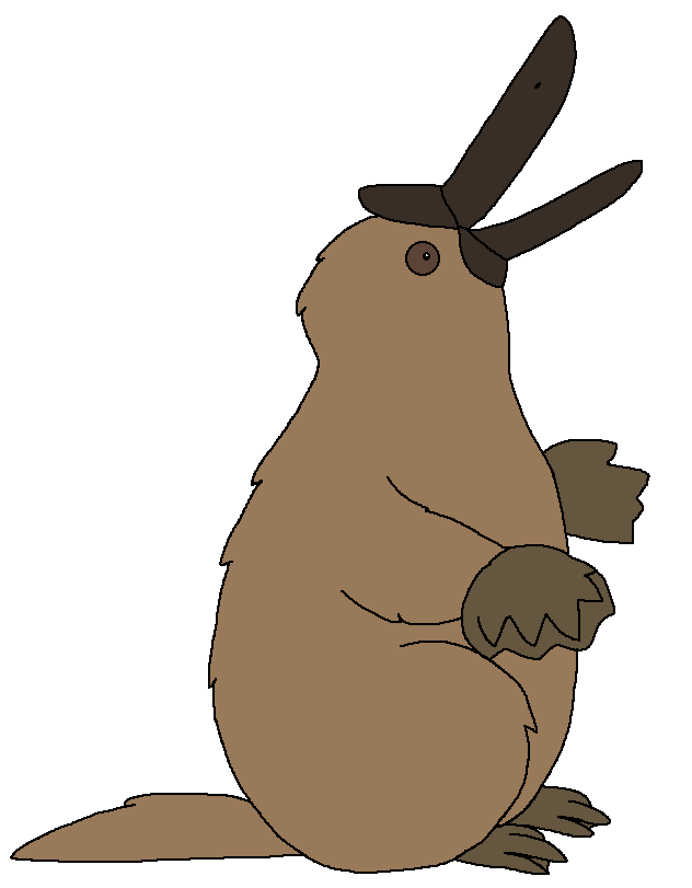 Platypus | Zoo Venture Wiki | Fandom