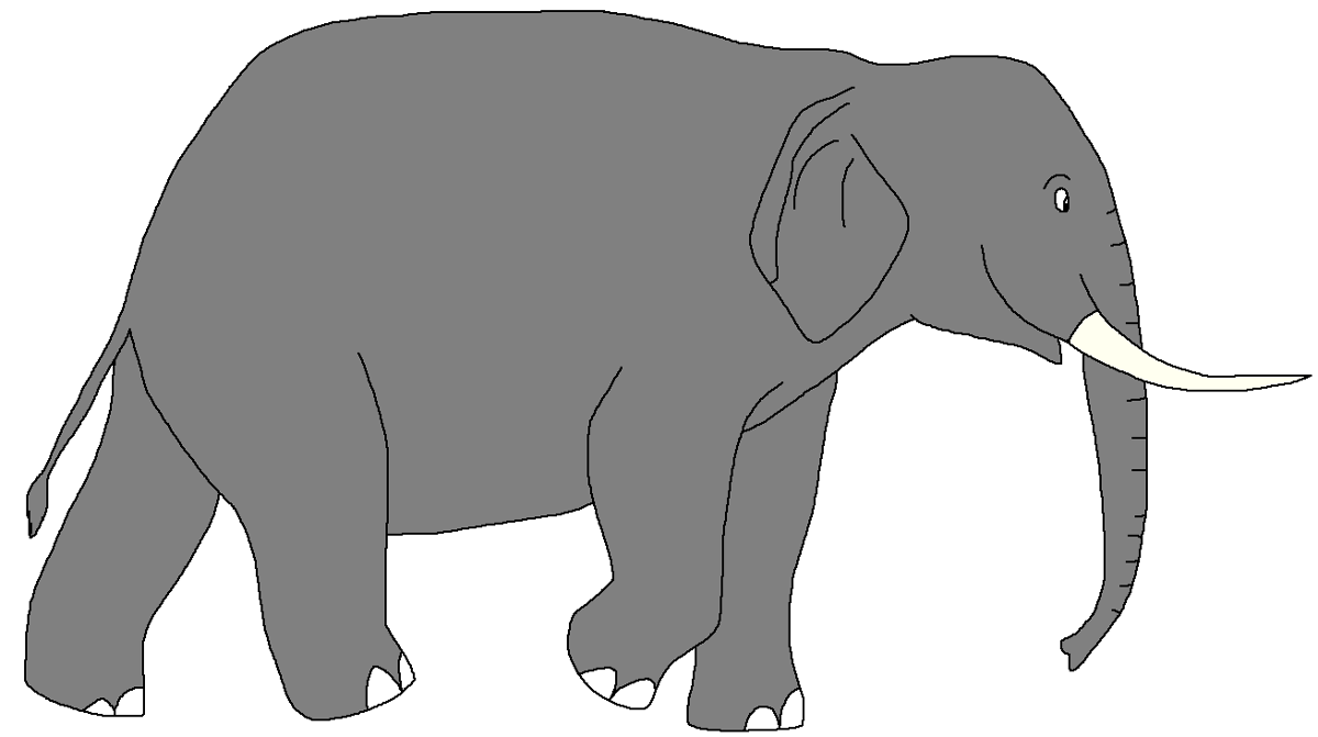 Sri Lankan Elephant | Zoo Venture Wiki | Fandom