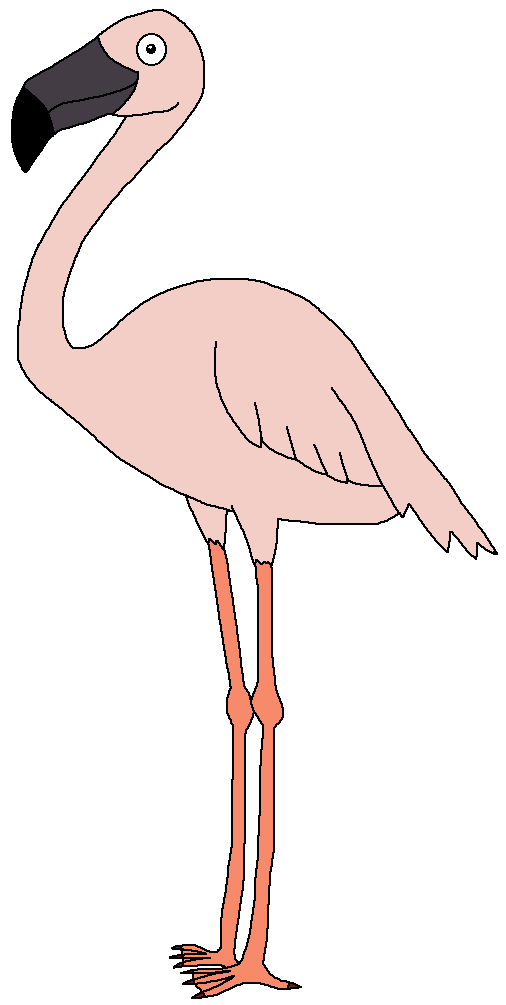 Lesser Flamingo | Zoo Venture Wiki | Fandom