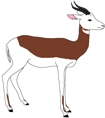 Dama Gazelle | Zoo Venture Wiki | Fandom