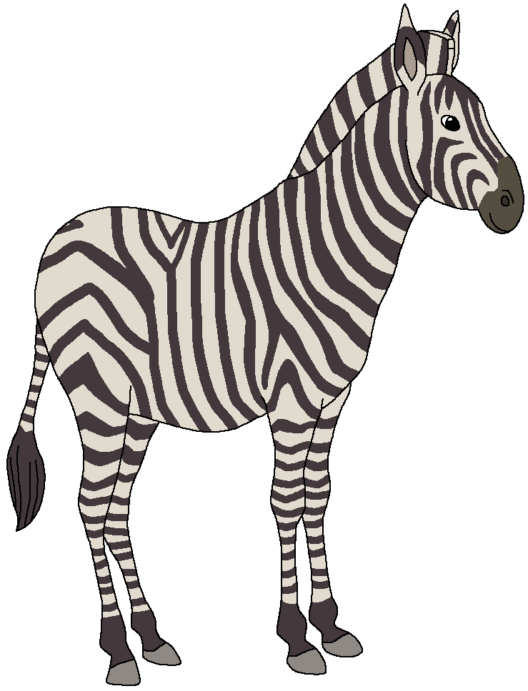Cape Mountain Zebra | Zoo Venture Wiki | Fandom