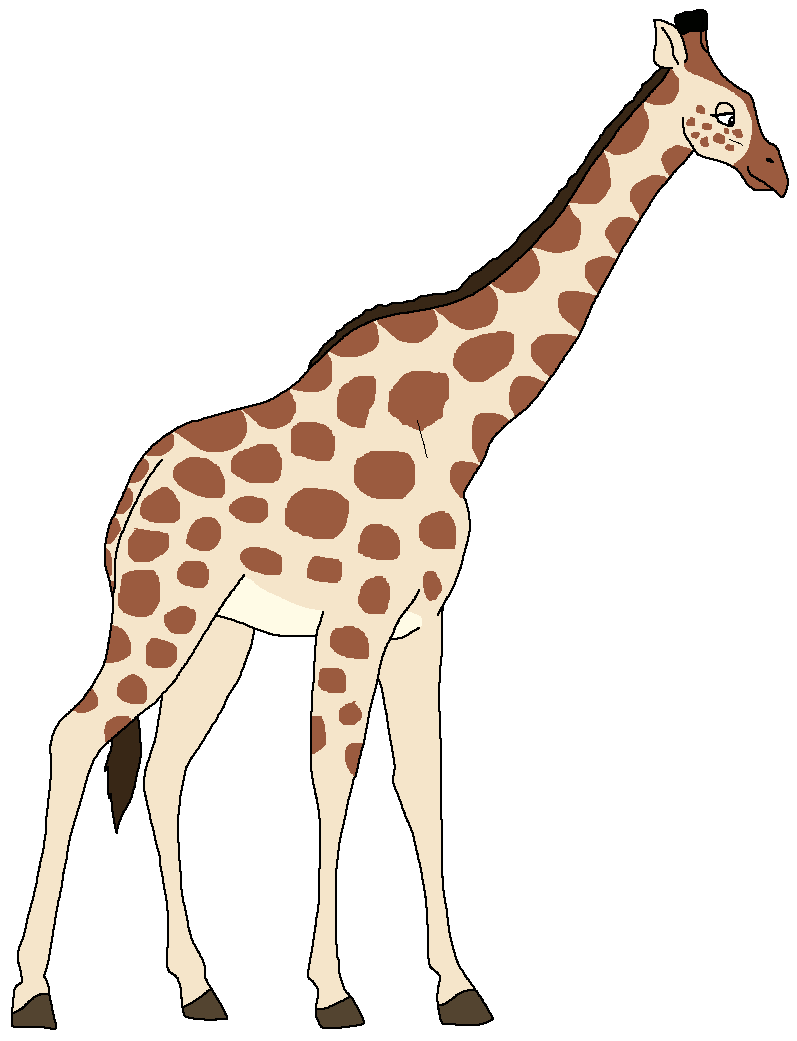 Reticulated Giraffe | Zoo Venture Wiki | Fandom
