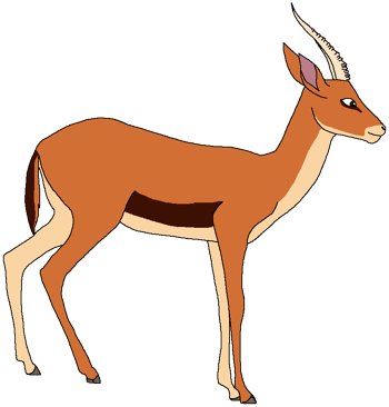 Chinkara | Zoo Venture Wiki | Fandom
