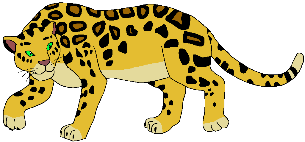 Indian Leopard | Zoo Venture Wiki | Fandom