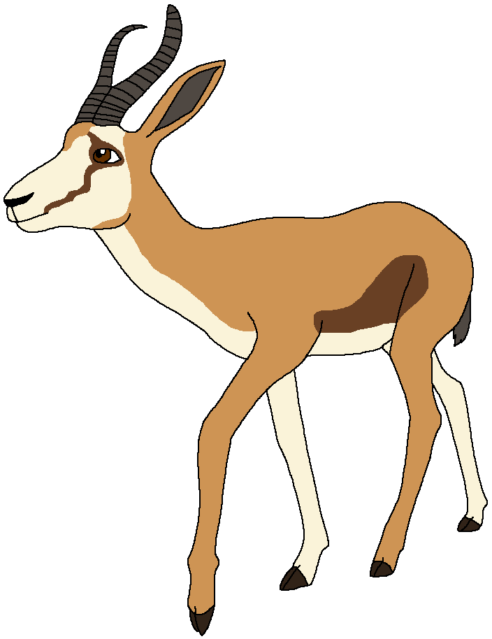 Springbok | Zoo Venture Wiki | Fandom