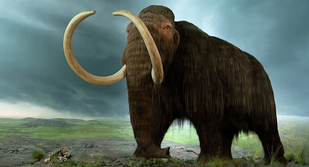 Woolly Mammoth | Zoo World Builder Wiki | Fandom