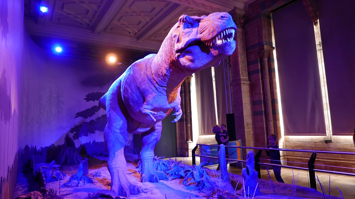 Tyrannosaurus Rex | Zoo Wiki | Fandom