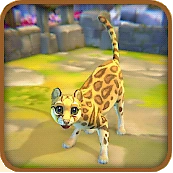 Ocelot wielki | Zoo2 PL Wiki | Fandom