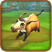 Dzikan rzeczny | Zoo2 PL Wiki | Fandom