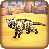 Cyweta afrykańska | Zoo2 PL Wiki | Fandom