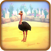 Struś czerwonoskóry | Zoo2 PL Wiki | Fandom