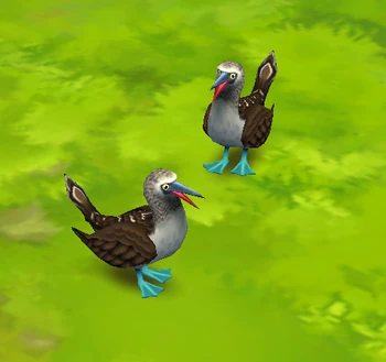 Blue-Footed Booby | Zoo 2: Animal Park Wiki | Fandom
