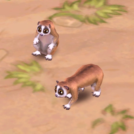 Slow Loris | Zoo 2: Animal Park Wiki | Fandom