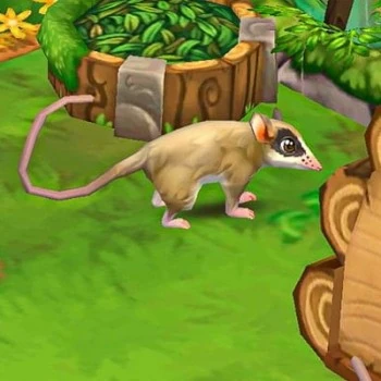 Murine Mouse Opossum | Zoo 2: Animal Park Wiki | Fandom