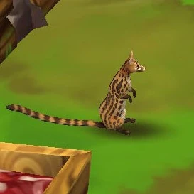 Common Genet | Zoo 2: Animal Park Wiki | Fandom