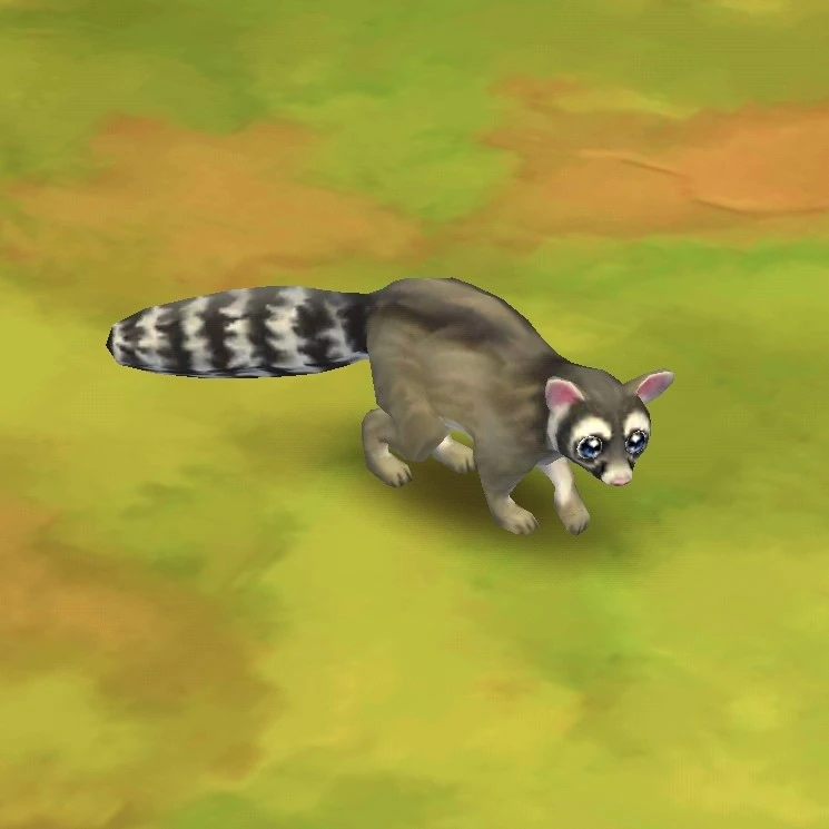 Ringtail | Zoo 2: Animal Park Wiki | Fandom