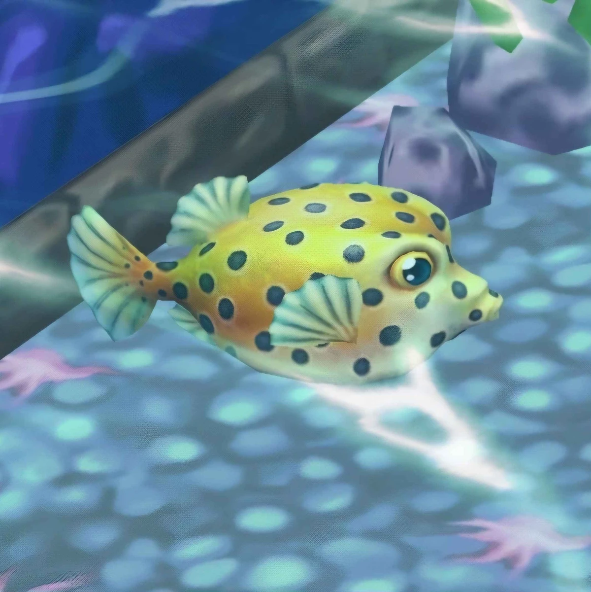 Yellow Boxfish | Zoo 2: Animal Park Wiki | Fandom