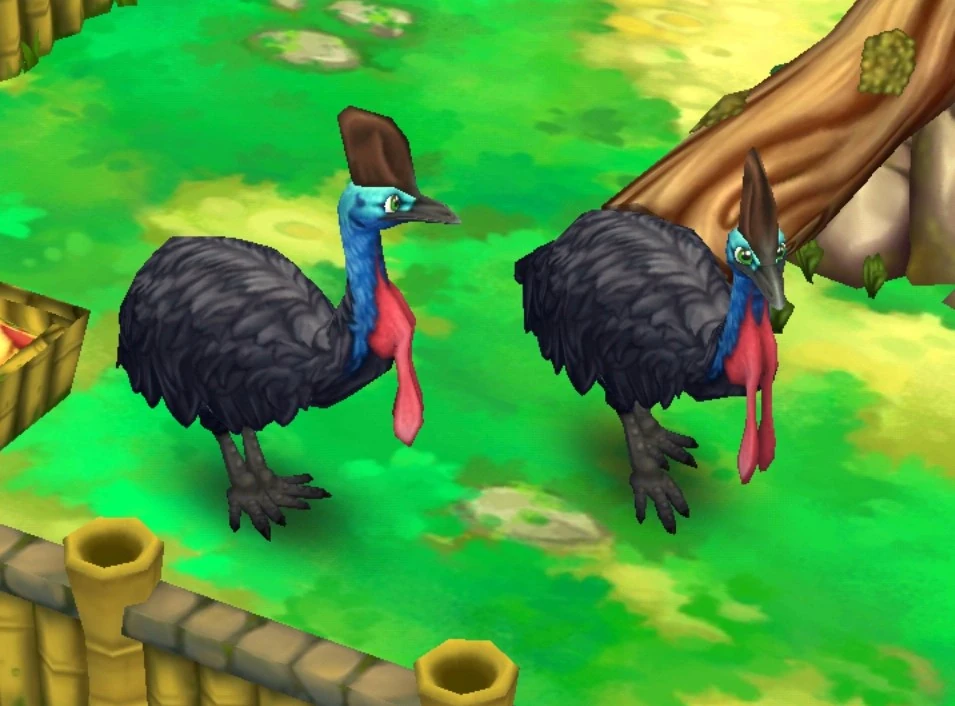 Southern Cassowary | Zoo 2: Animal Park Wiki | Fandom