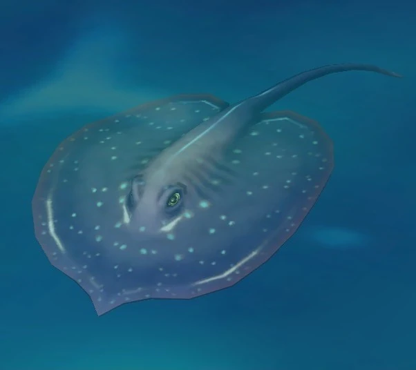 Giant Stingray Photo