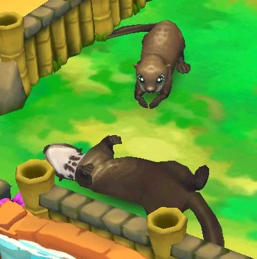 Giant Otter | Zoo 2: Animal Park Wiki | Fandom