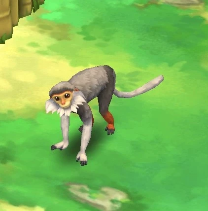 Douc | Zoo 2: Animal Park Wiki | Fandom