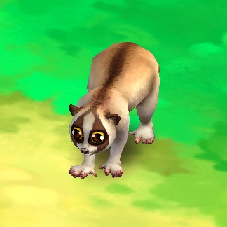 Bengal Slow Loris | Zoo 2: Animal Park Wiki | Fandom