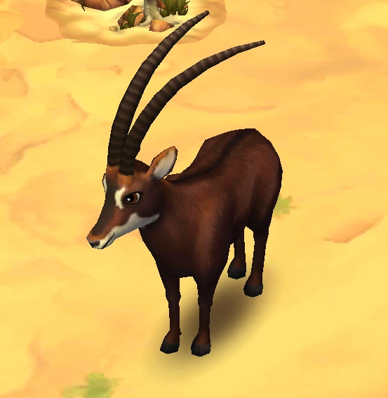 Royal Sable Antelope | Zoo 2: Animal Park Wiki | Fandom