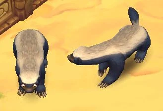 Honey Badger | Zoo 2: Animal Park Wiki | Fandom
